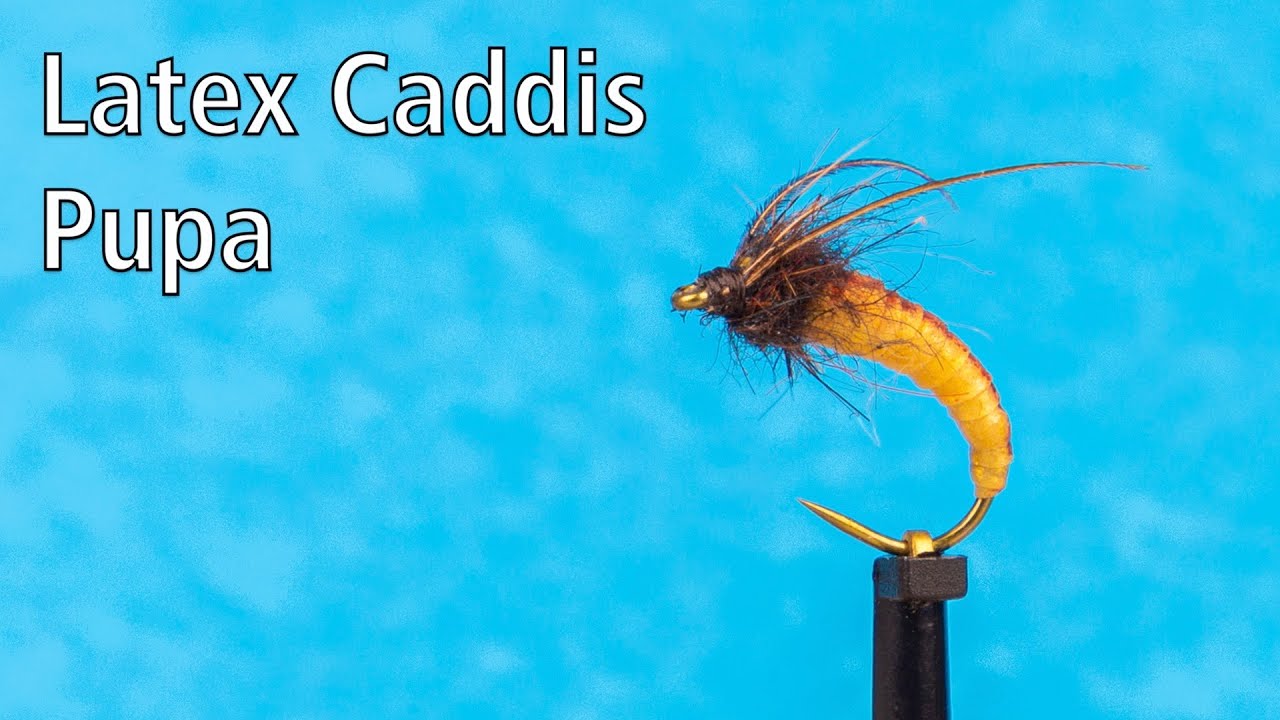Latex Caddis Pupa - YouTube
