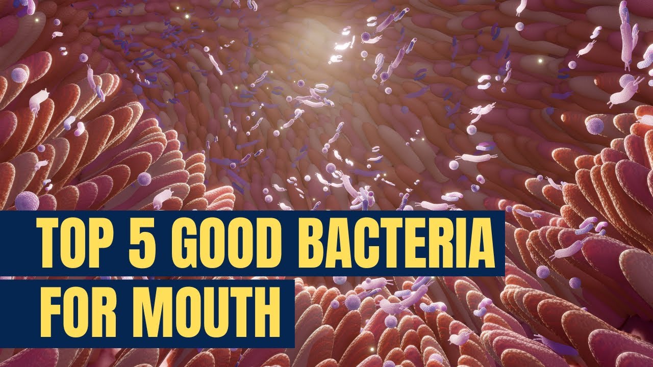 Top 5 Probiotic Good Bacteria For Mouth | Probiotiv Naturals - YouTube