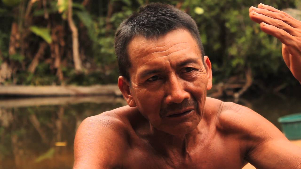 Hüarime: Fiesta Piaroa - Churuata del Chamán Bolívar - YouTube