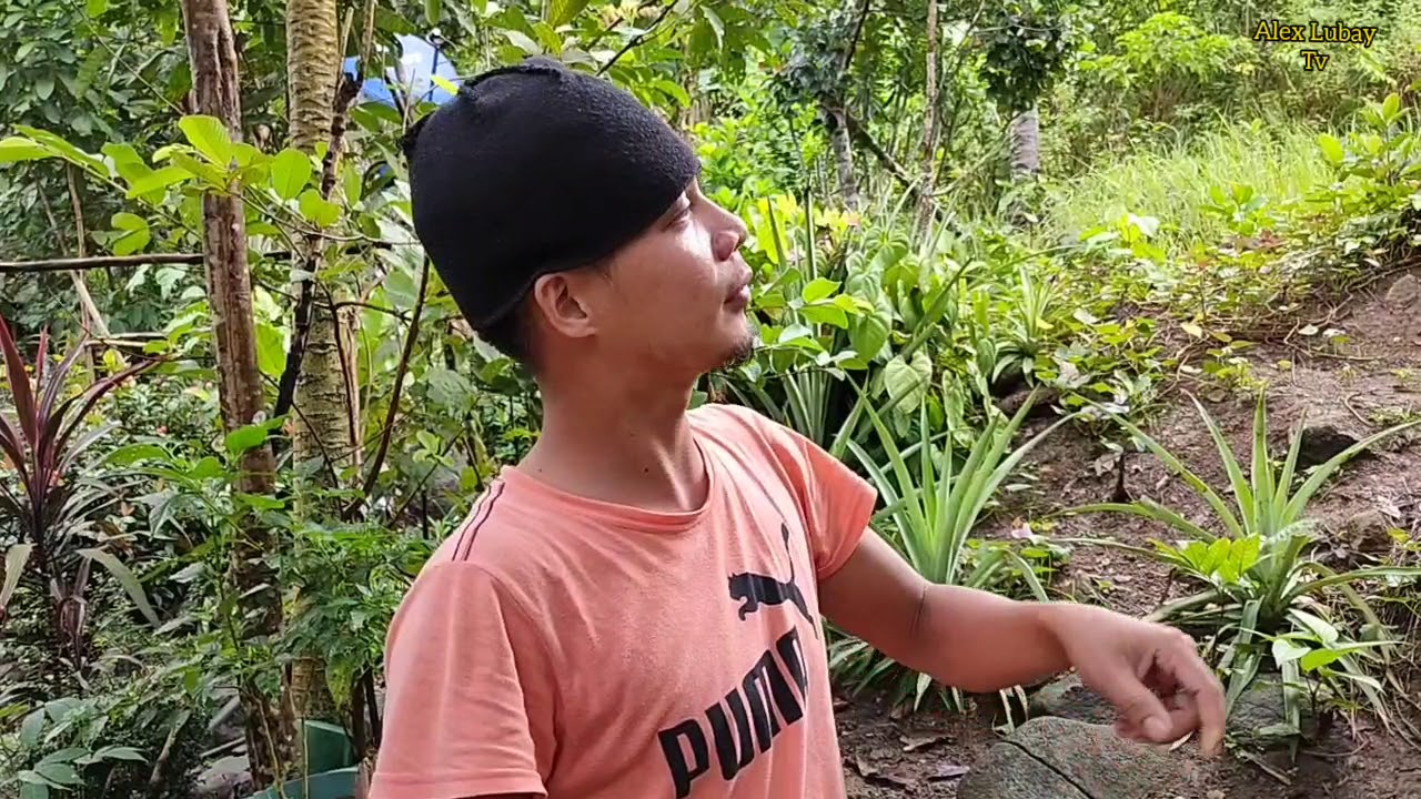 YAMASHITA TREASURE ED KALAWAG - YouTube