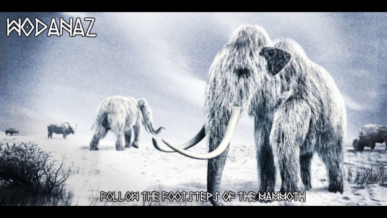 Wodanaz - Follow The Footsteps Of The Mammoth - YouTube