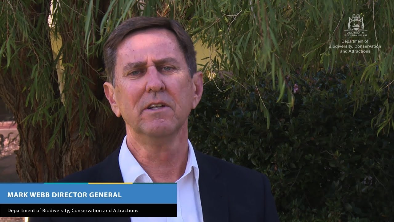 A message from our Director General Mark Webb - YouTube