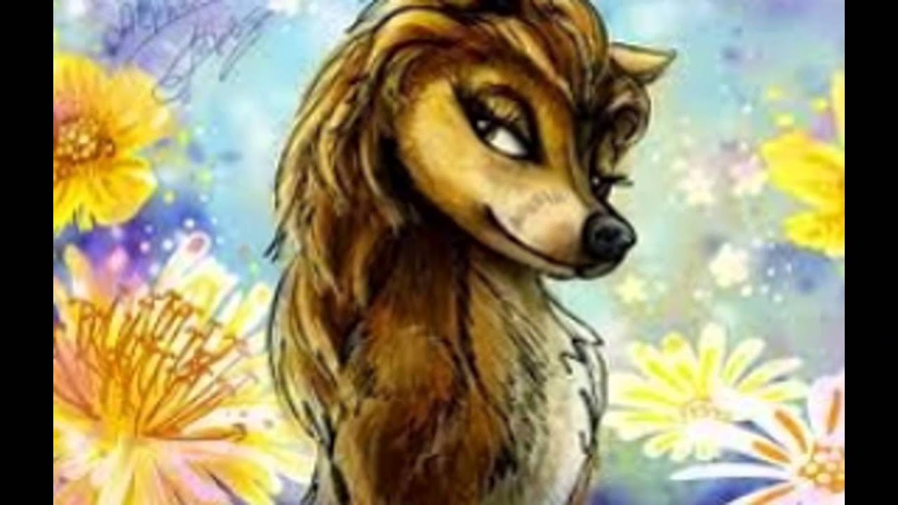 Alpha And Omega Kate X Garth Dj Got Us Falling In Love Cover - YouTube