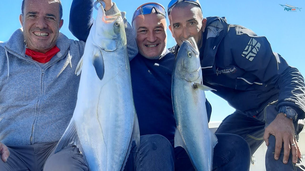 Leccia Amia & Grosso Pesce Serra a traina con il vivo. - YouTube