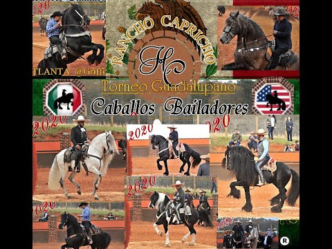 Rancho el CAPRICHO Caballos BAILADORES Guadalupano ATLANTA GA. - YouTube