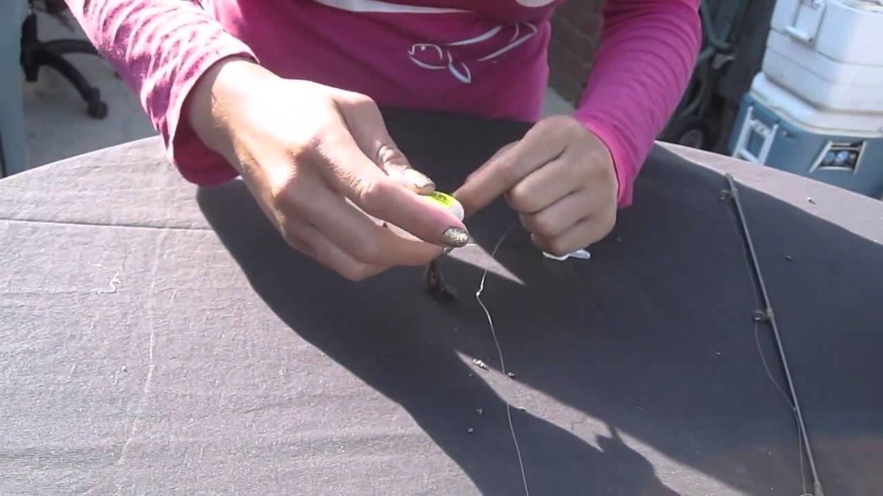 How to inflate a nightcrawler to use for Fishing Bait - YouTube