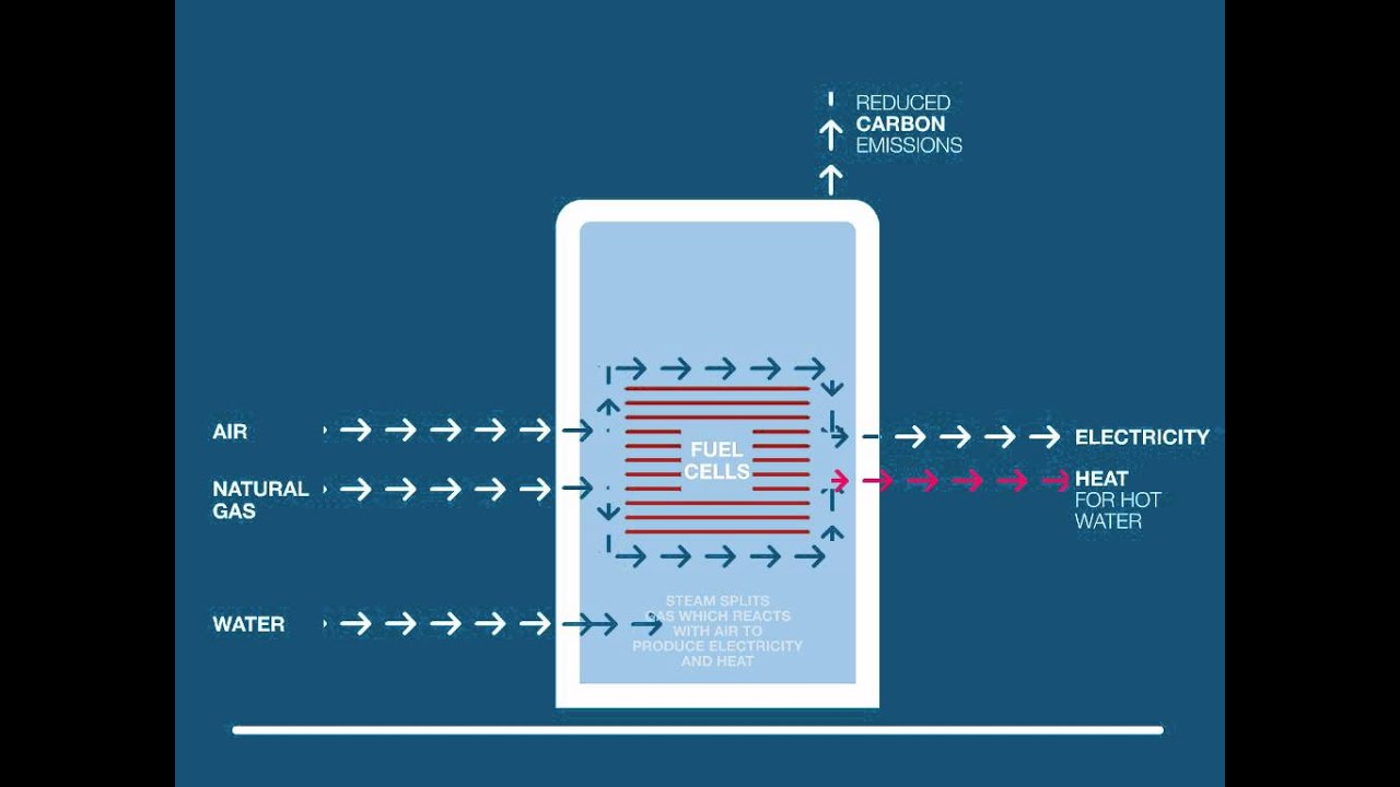 BlueGen animation.mov - YouTube