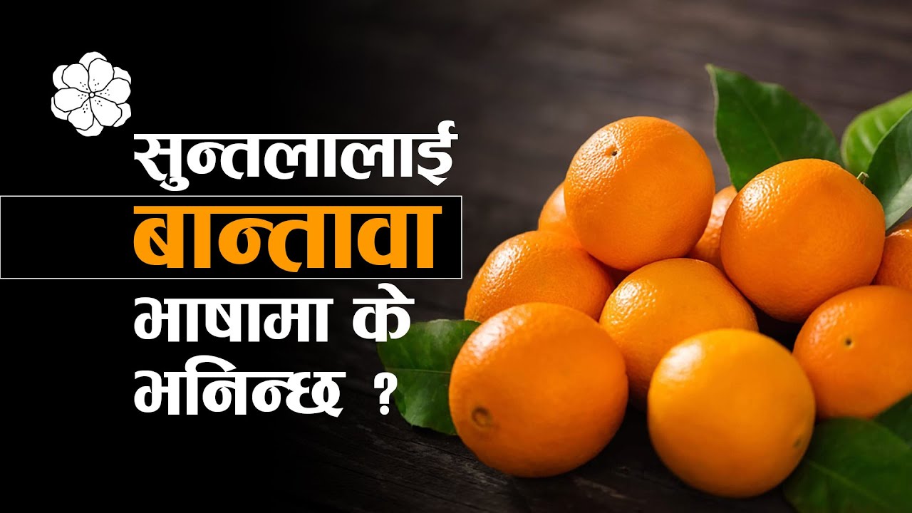 fruit-s-name-in-bantawa-bantawa-to-nepali-meaning