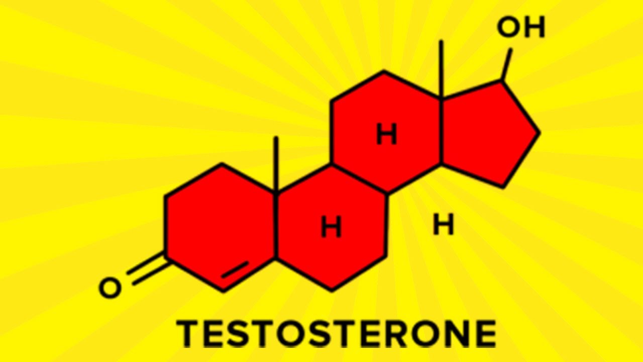 How To INCREASE TESTOSTERONE Levels In Men In 19 Days YouTube how-to-increase-testosterone-levels-in-men-in-19-days-youtube