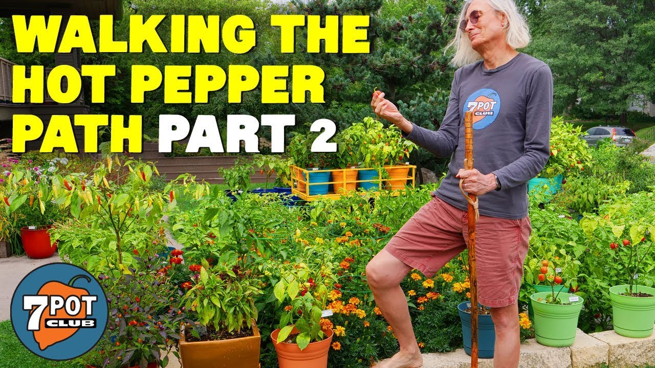 Walking the Hot Pepper Path Part 2 - YouTube