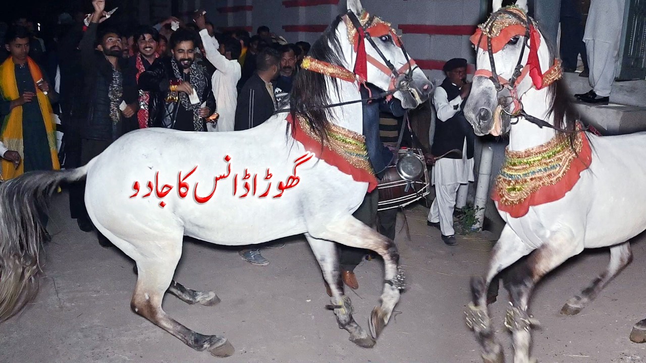 Ghora Dance Performance at Wedding | Pakistani Ghoṛa Dance - YouTube
