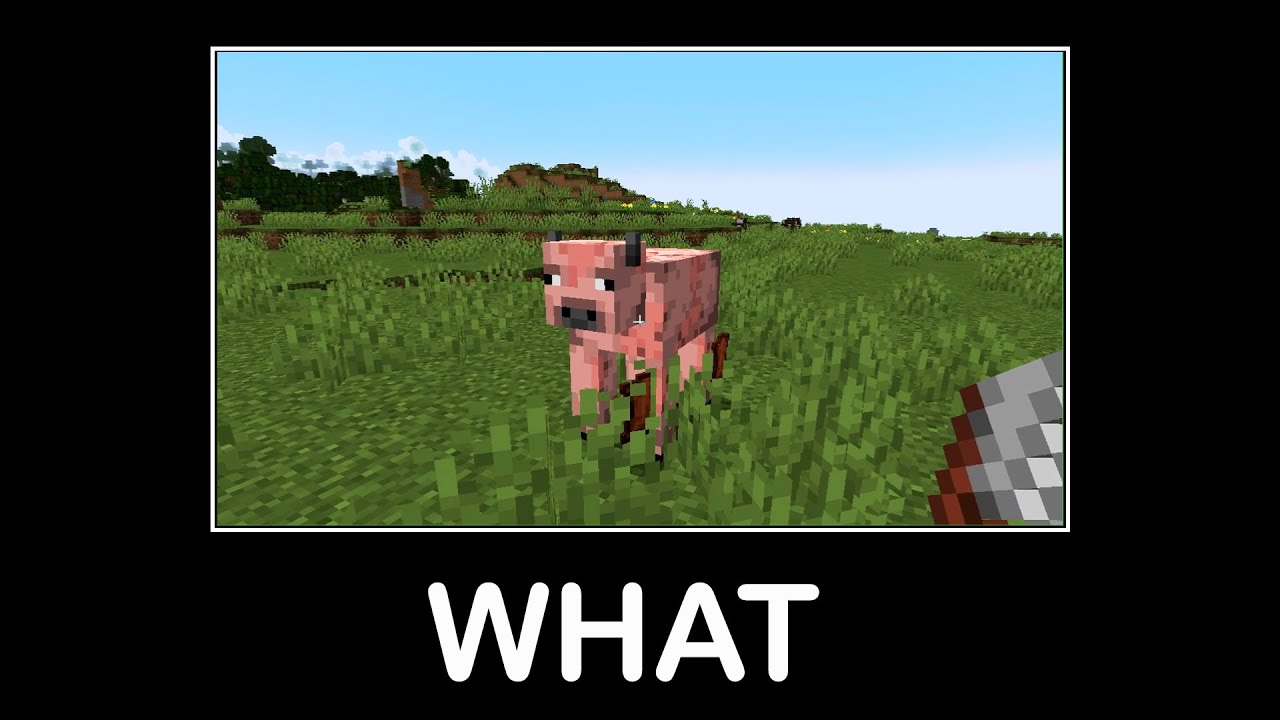 Wait What Minecraft #16 - YouTube