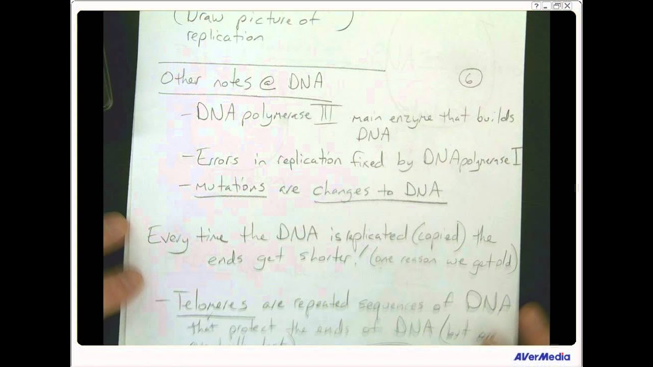 AP Biology Chapter 16 DNA History and Replication Part 3 - YouTube