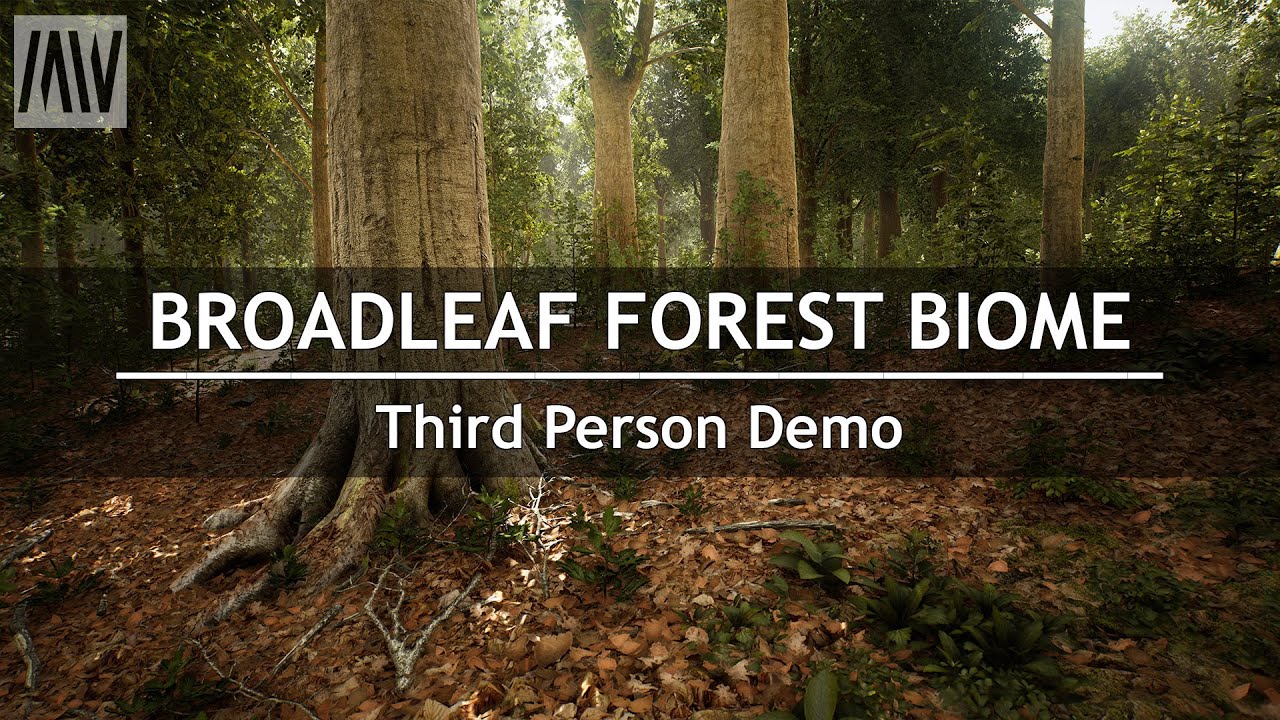 MAWI Broadleaf Forest Biome | Demo - YouTube