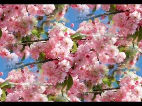 МАРИНА АЛИЕВА-С ДНЁМ РОЖДЕНИЯ!