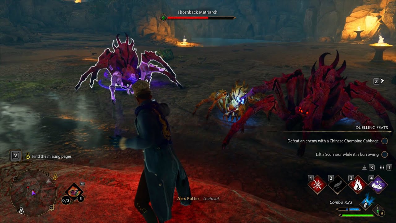 🔥 Legendary Spiders Battle In Hogwarts Legacy 🔥 - YouTube