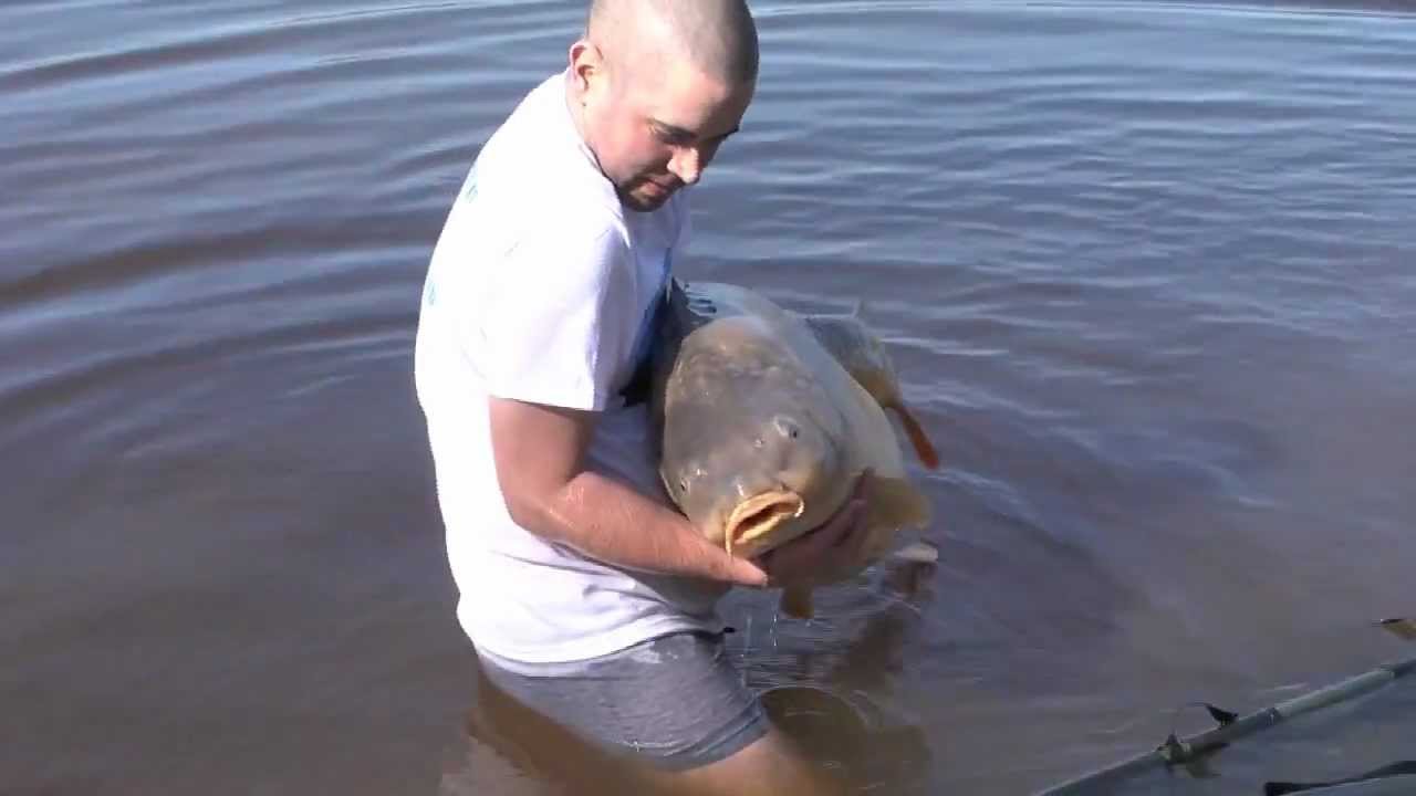 50lb Carp Capture - Tackle & Tactics - YouTube