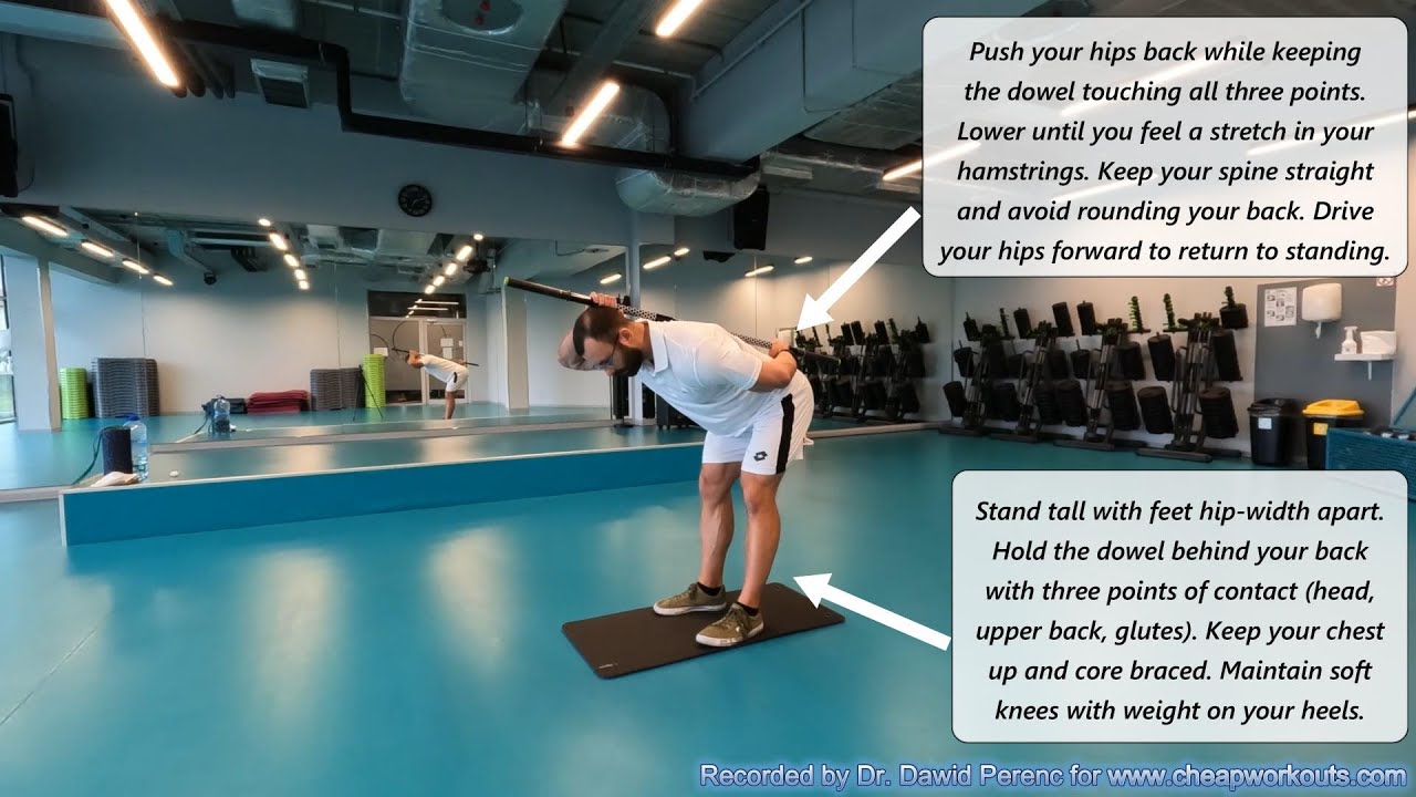 Dowel Hip Hinge Drill - Master the Hip Hinge Pattern & Boost Posterior Chain Mobility - YouTube