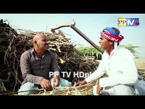 airport new funny video | airport funny video | airport comedy 2022 | helmet&airport&ramzi pptv ...