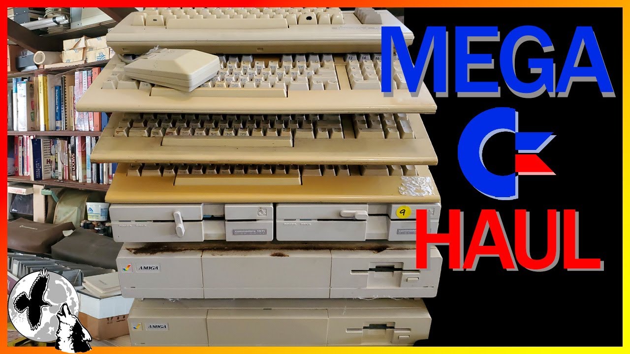 Picking a Massive ABANDONED Commodore Collection. Mini Computer Reset ...