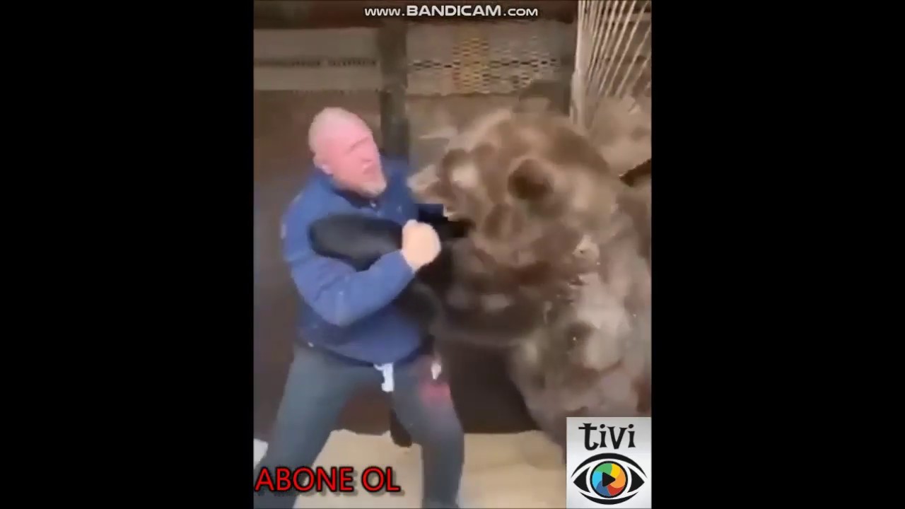 RUS DÖVÜŞÇÜ AYI İLE ANTRENMAN YAPTI.. (Maxim ‘Mad Max’ Novoselov) - YouTube