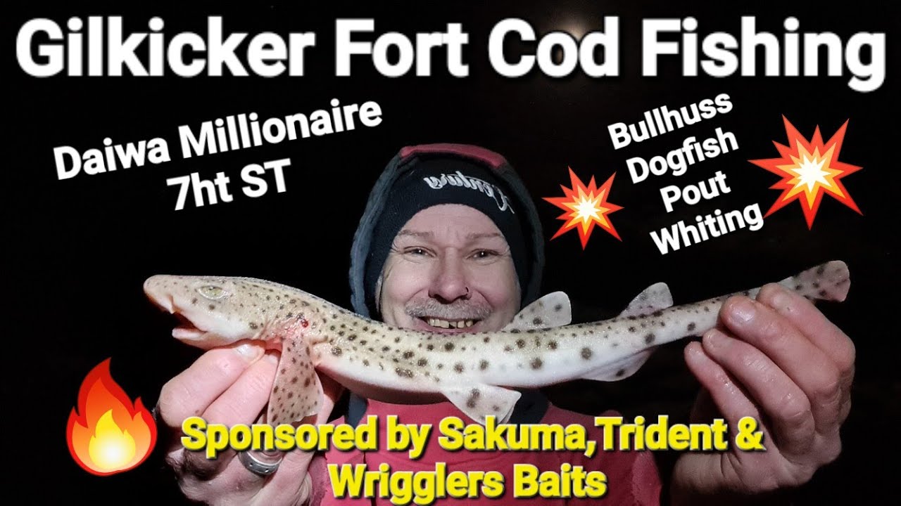 Gilkicker Cod Fishing Beach Fishing Daiwa Millionaire 7ht Super Tuned ...