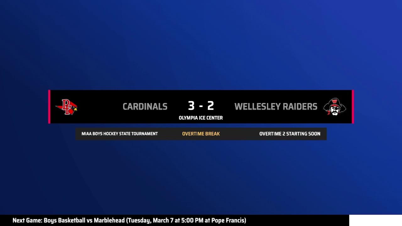 Wellesley Raider Logo Browse Thousands Of Raiders Images For Design