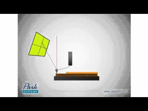 Cómo funciona AFM (How AFM Works) - YouTube