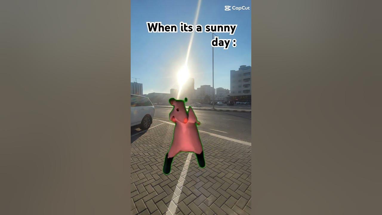 When its a sunny day - YouTube