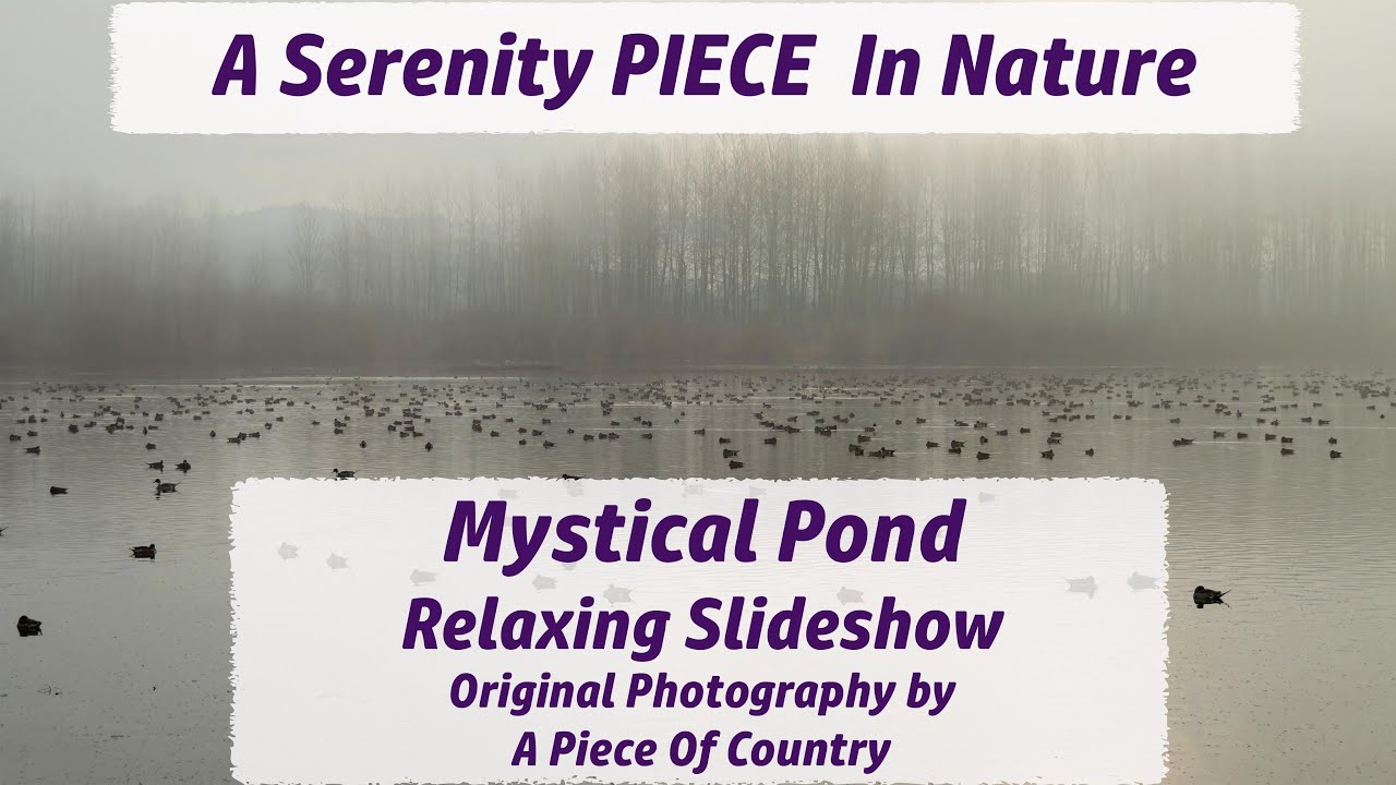 Mystical Pond ~Relaxing Nature Slideshow Serenity 4K ~ Original ...