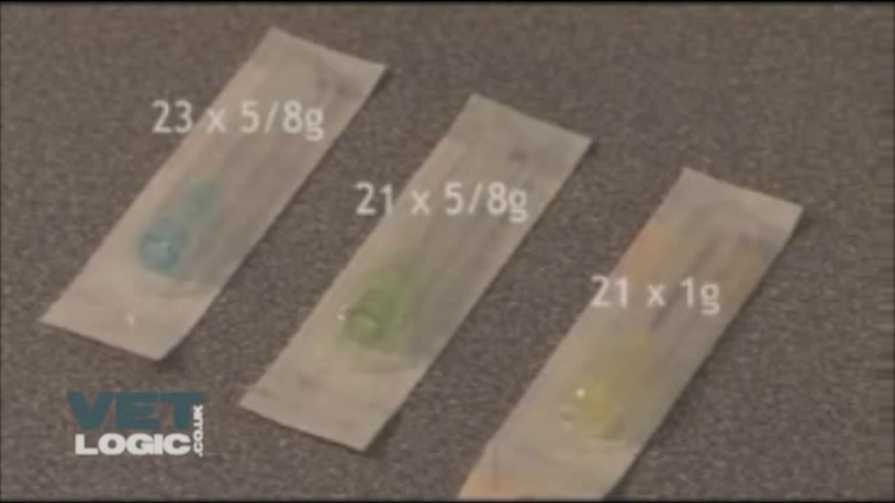 Packing a blood sample outside laboratory (update) - YouTube