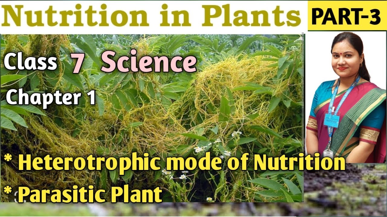 Class 7 Science Nutrition in Plants | CBSE Science Class 7 Chapter 1 ...