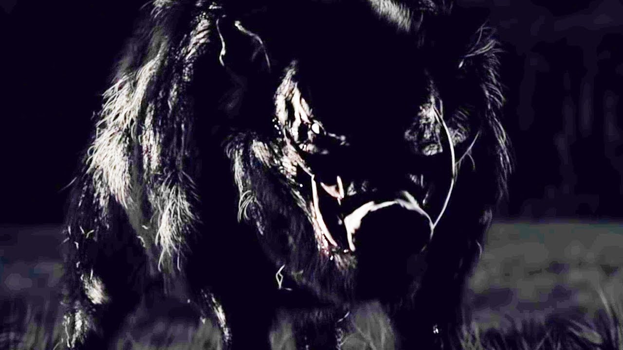 BOAR (Teaser Trailer) - YouTube