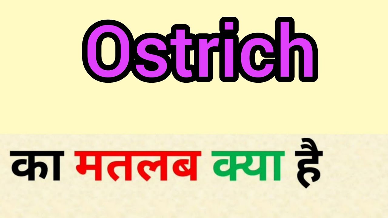 Ostrich meaning in hindi || ostrich ka matlab kya hota hai || word ...