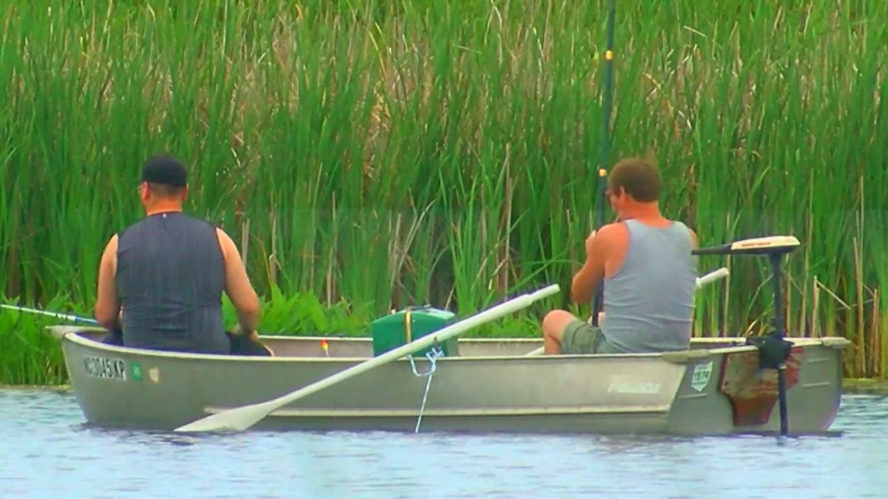 A Moment of Zen at Marsh Lake in Indiana - YouTube