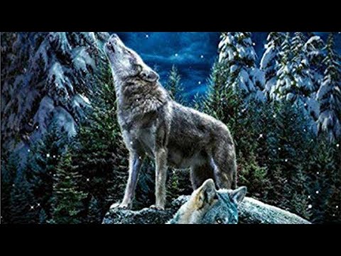 Wolves ~ enemy - YouTube