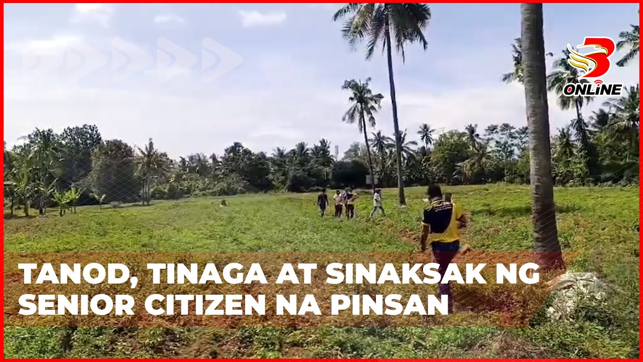 Tanod, tinaga at sinaksak ng senior citizen na pinsan - YouTube