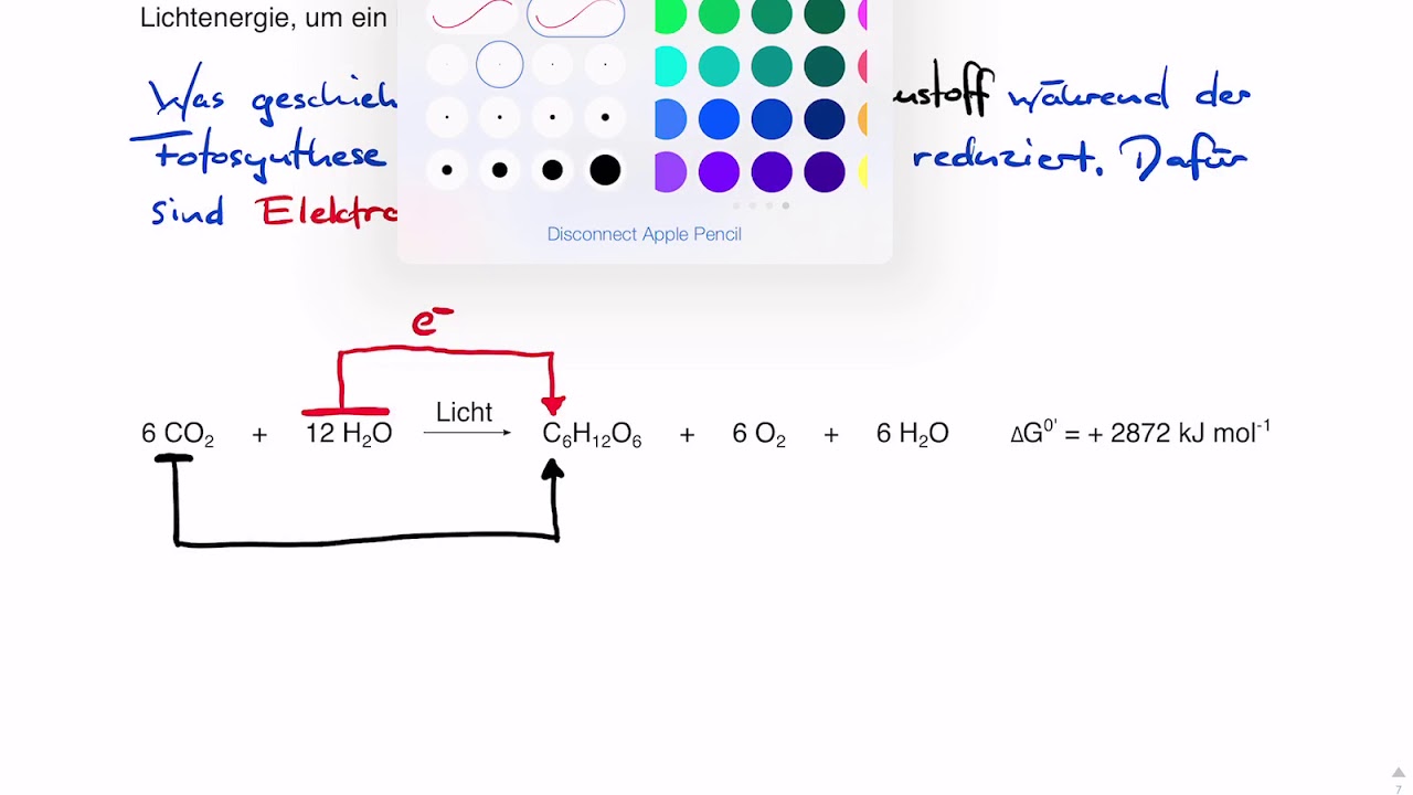 Summenformel der Fotosynthese - YouTube