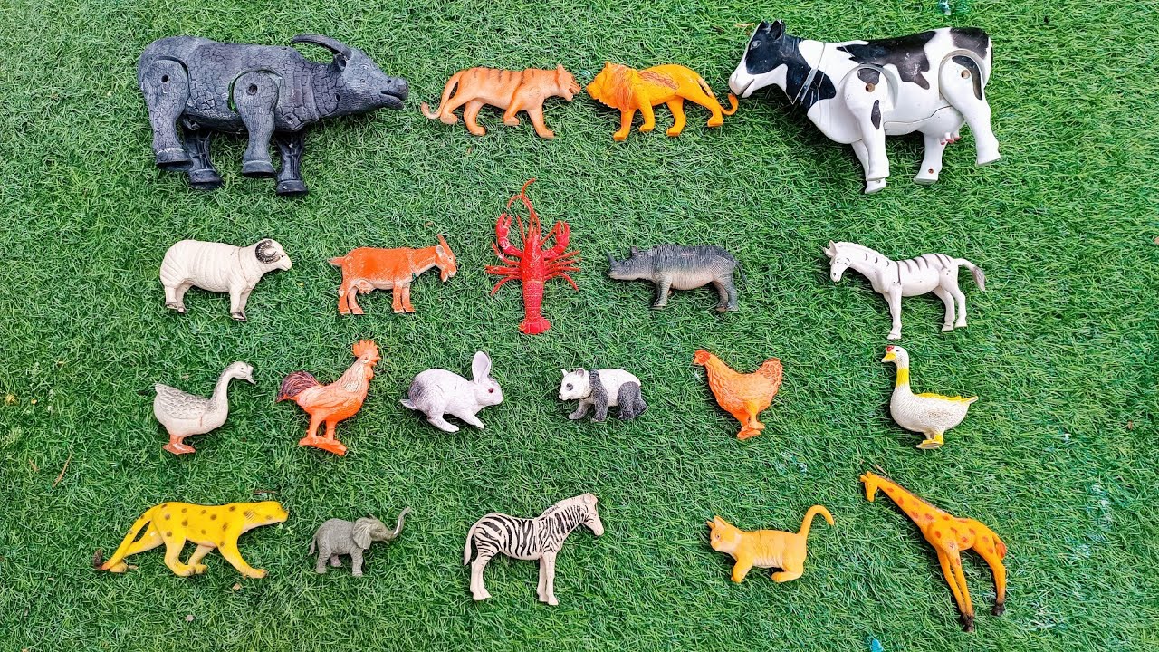 Hunting hewan sapi, bebek, angsa, gajah, zebra, rusa, kuda, kerbau ...