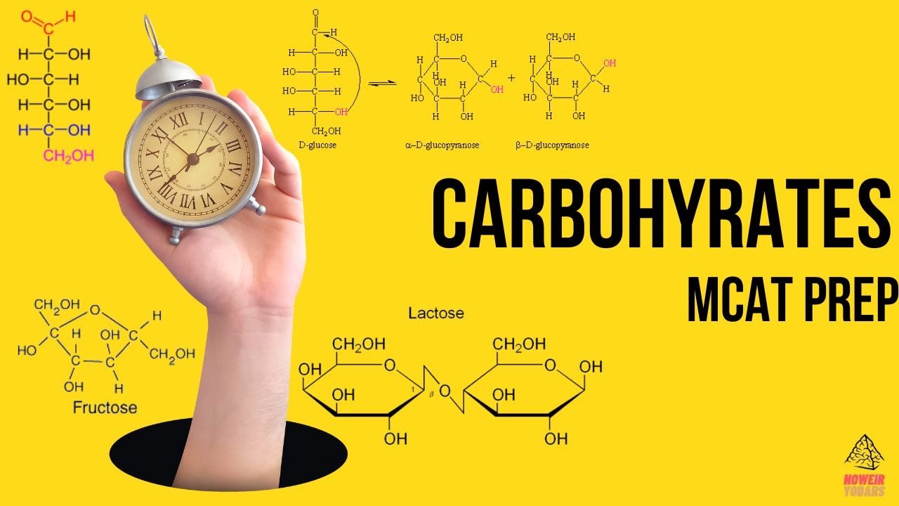 Biochemistry: Carbohydrates MCAT Prep - YouTube