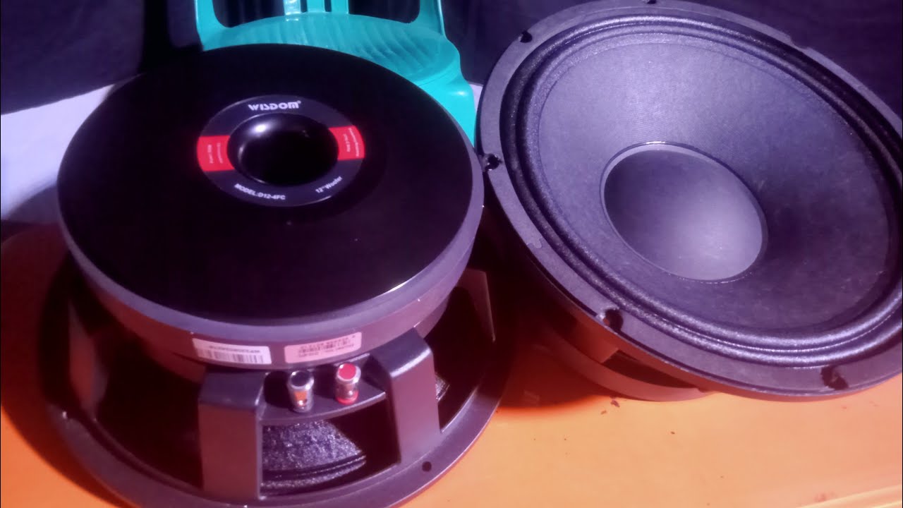 review speaker wisdom 12 inchi D12-4FC.... - YouTube