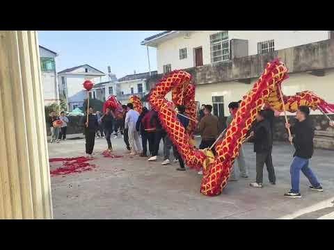 Chinese New Year Play Dragon 2 - YouTube