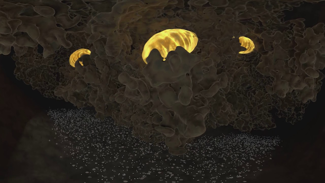 ADEPIDYN™ - control on Botrytis cinerea VR - YouTube