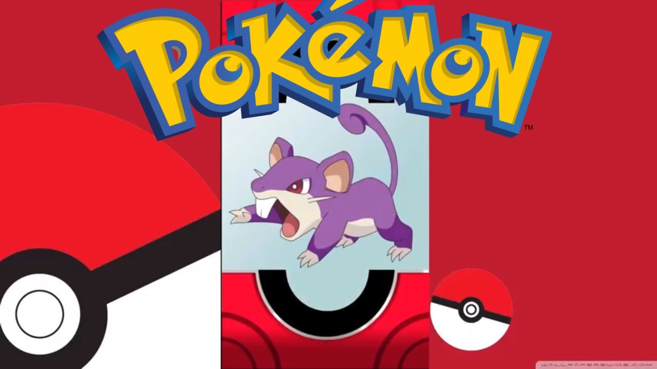 Into the Pokedex | #019 Rattata - YouTube