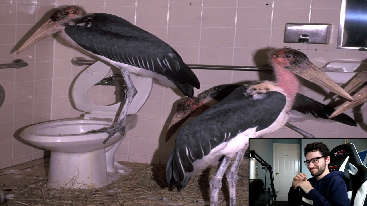 The Office Cursed Images - A image can have these properties but not be ...