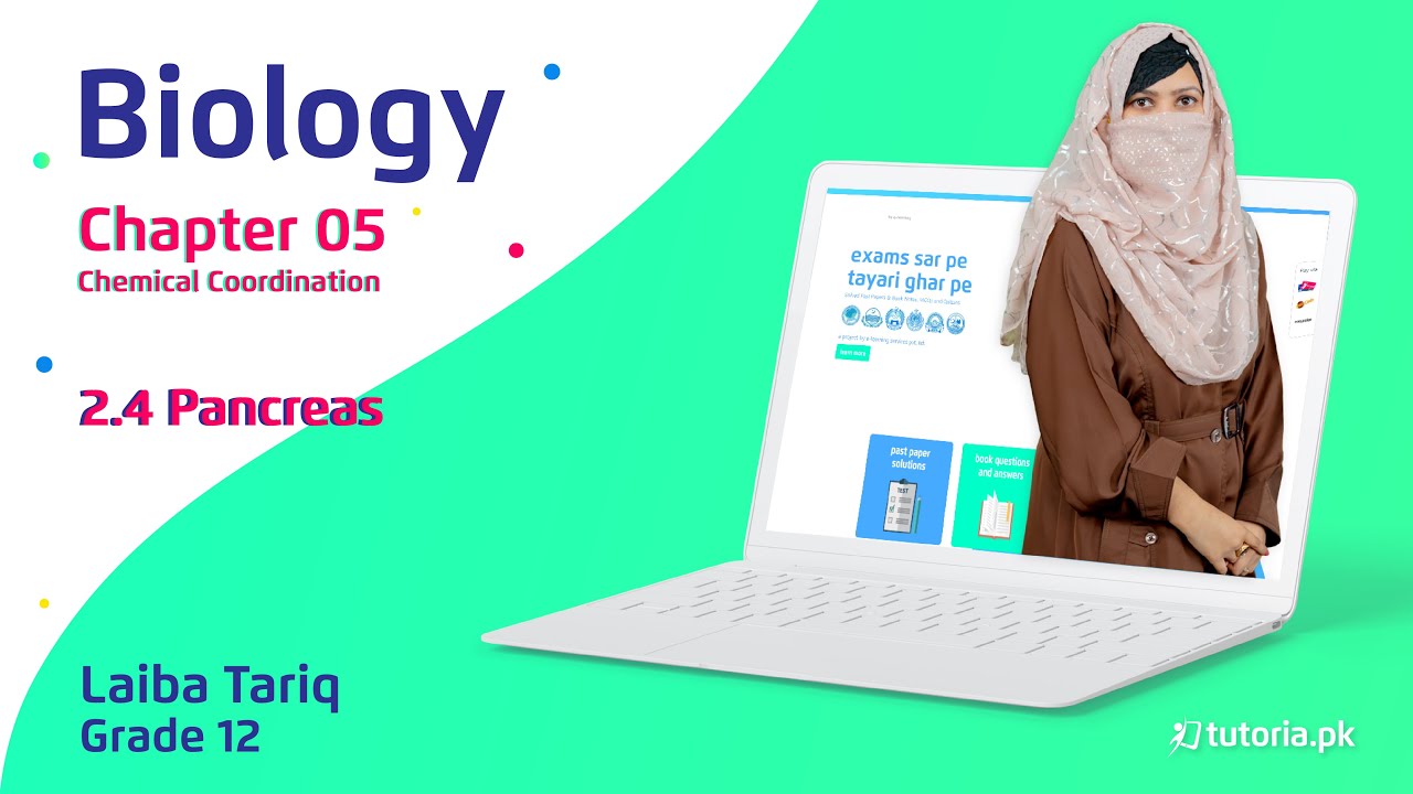 Biology Class 12 | Chapter 5 | Topic 2.4 | Pancreas | in urdu | tutoria.pk - YouTube