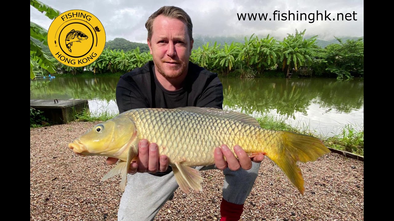 Lychee Fishing Park, Hong Kong - YouTube