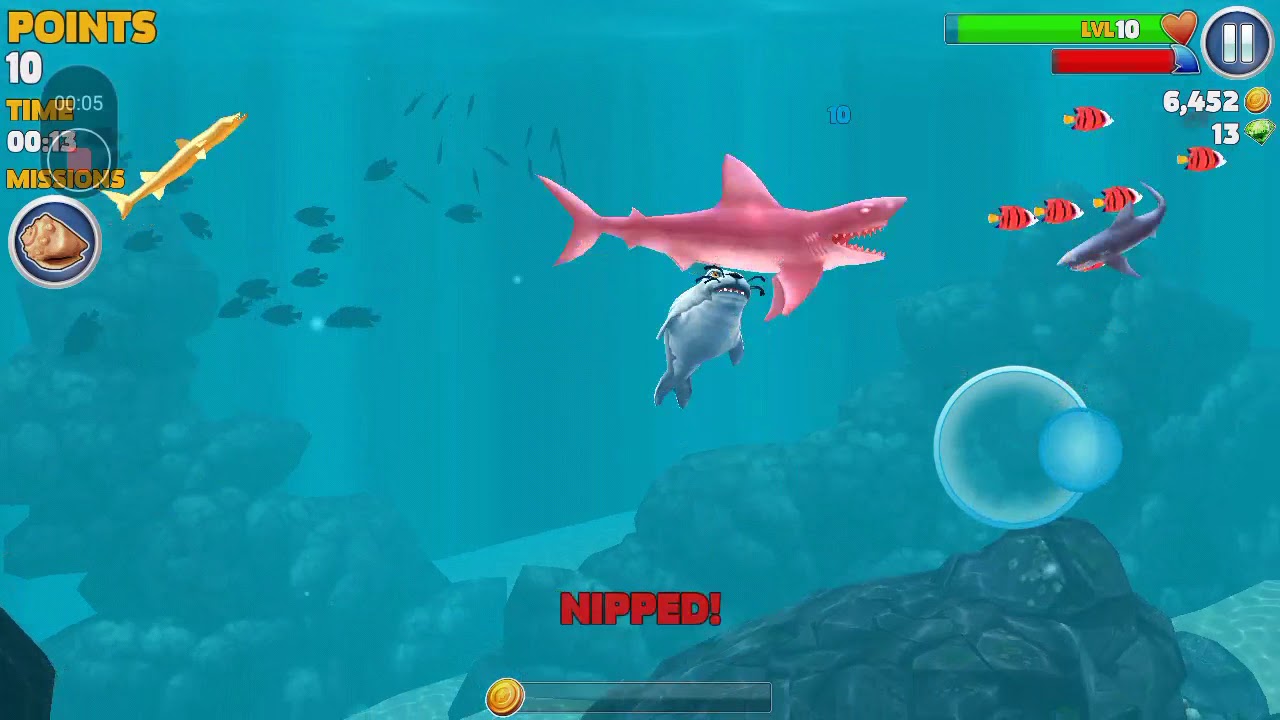 Shark evolution - YouTube