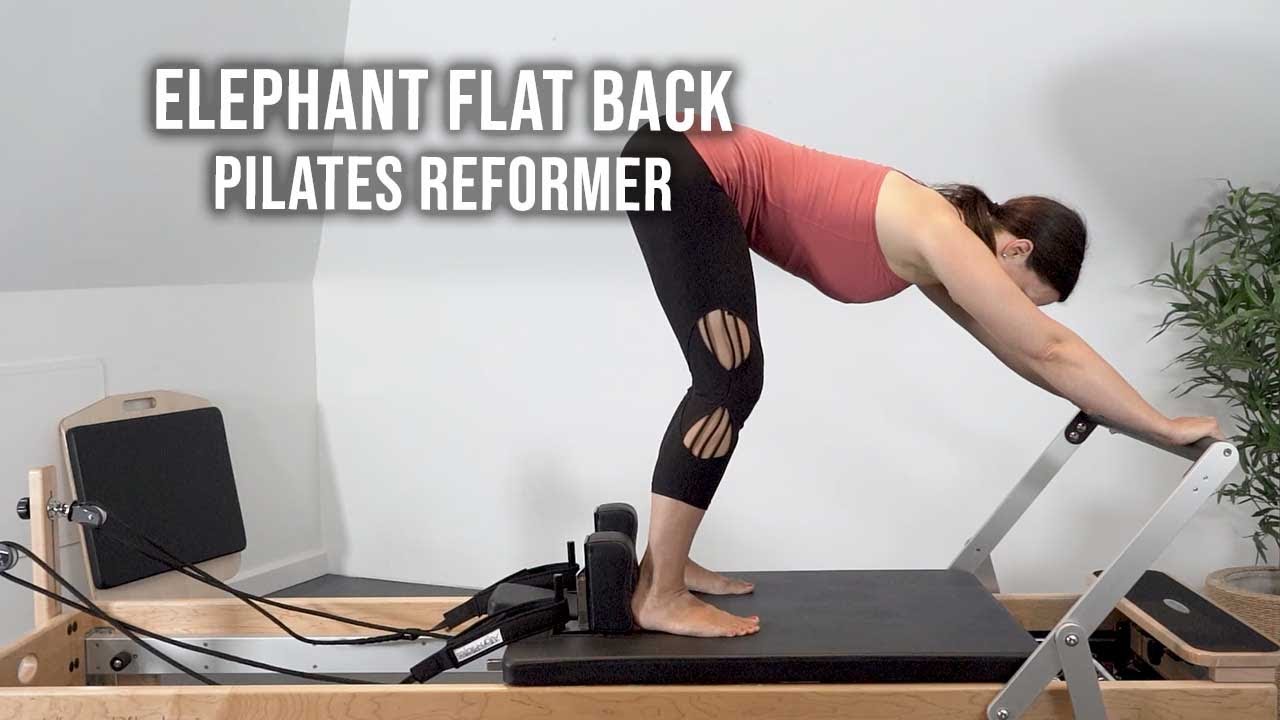 Elephants Flat Back Exercises - Pilates Reformer - YouTube