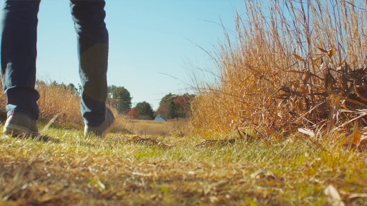 Stumbling Forward (Official Music Video) - Nicholas Wells - YouTube